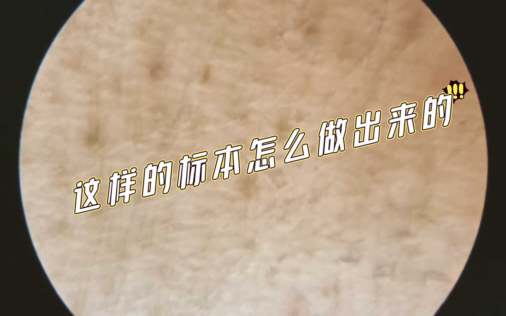 显微镜标本制作,你,学废了吗