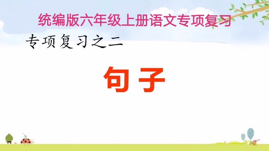 统编版六年级上册语文专项复习——句子