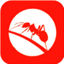 不知疲惫的丶Ant 