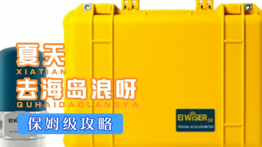 Wiser 3X便携式轴承故障检测仪采用无线振动传感器