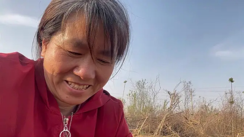 桑树整株都是药材 您知道吗?它的枝有一个奇特功效。请看评论区