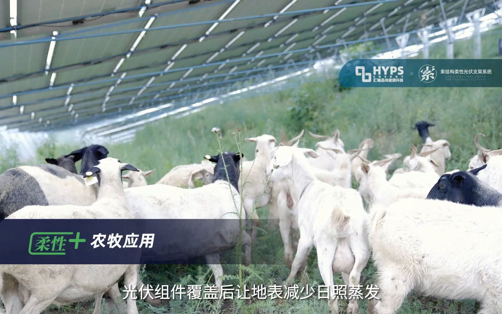 光伏柔性支架多元应用场景,开启绿电新境界