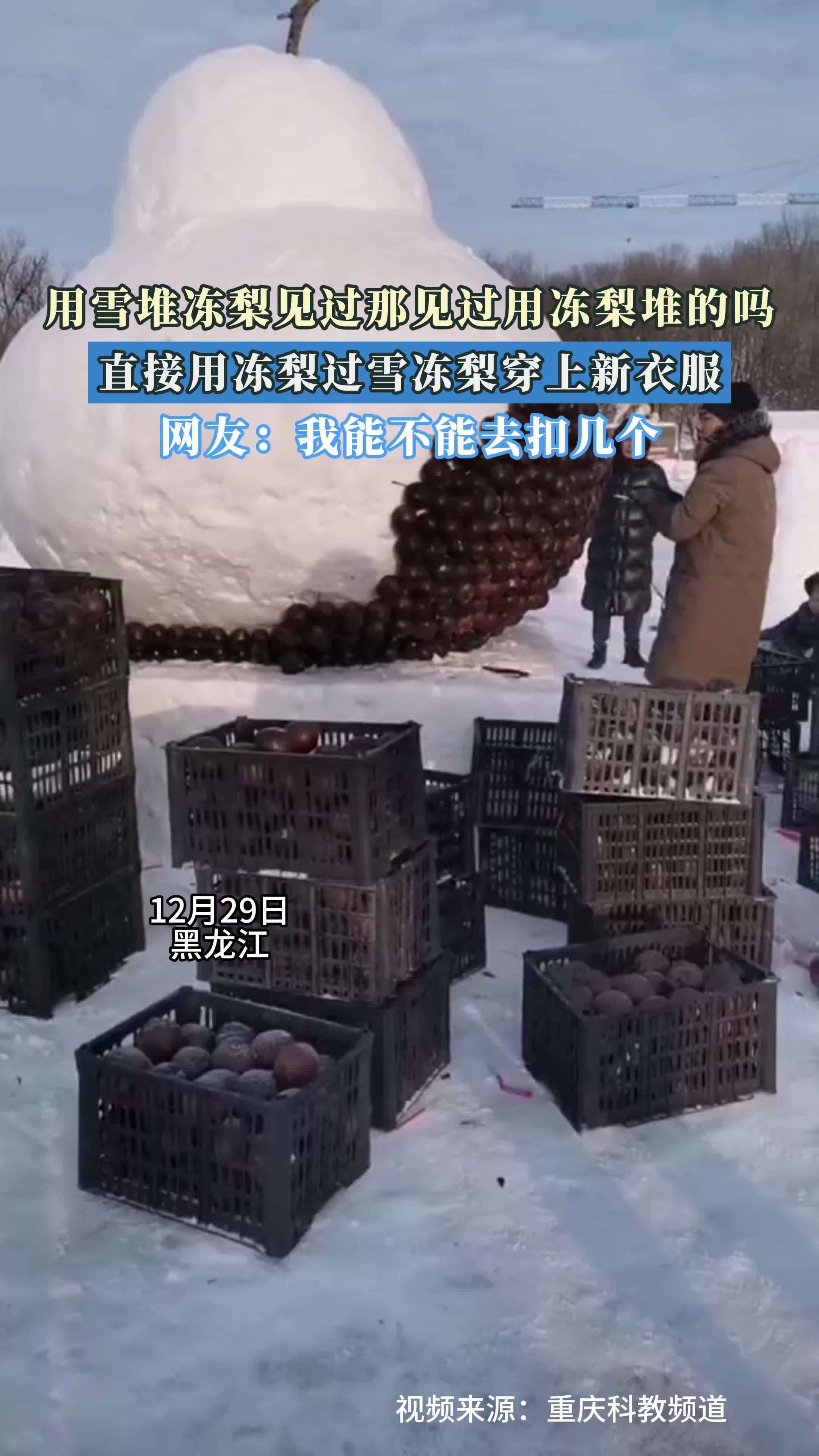 用雪堆冻梨见过那见过用冻梨堆的吗,用冻梨给雪冻梨穿上新衣服