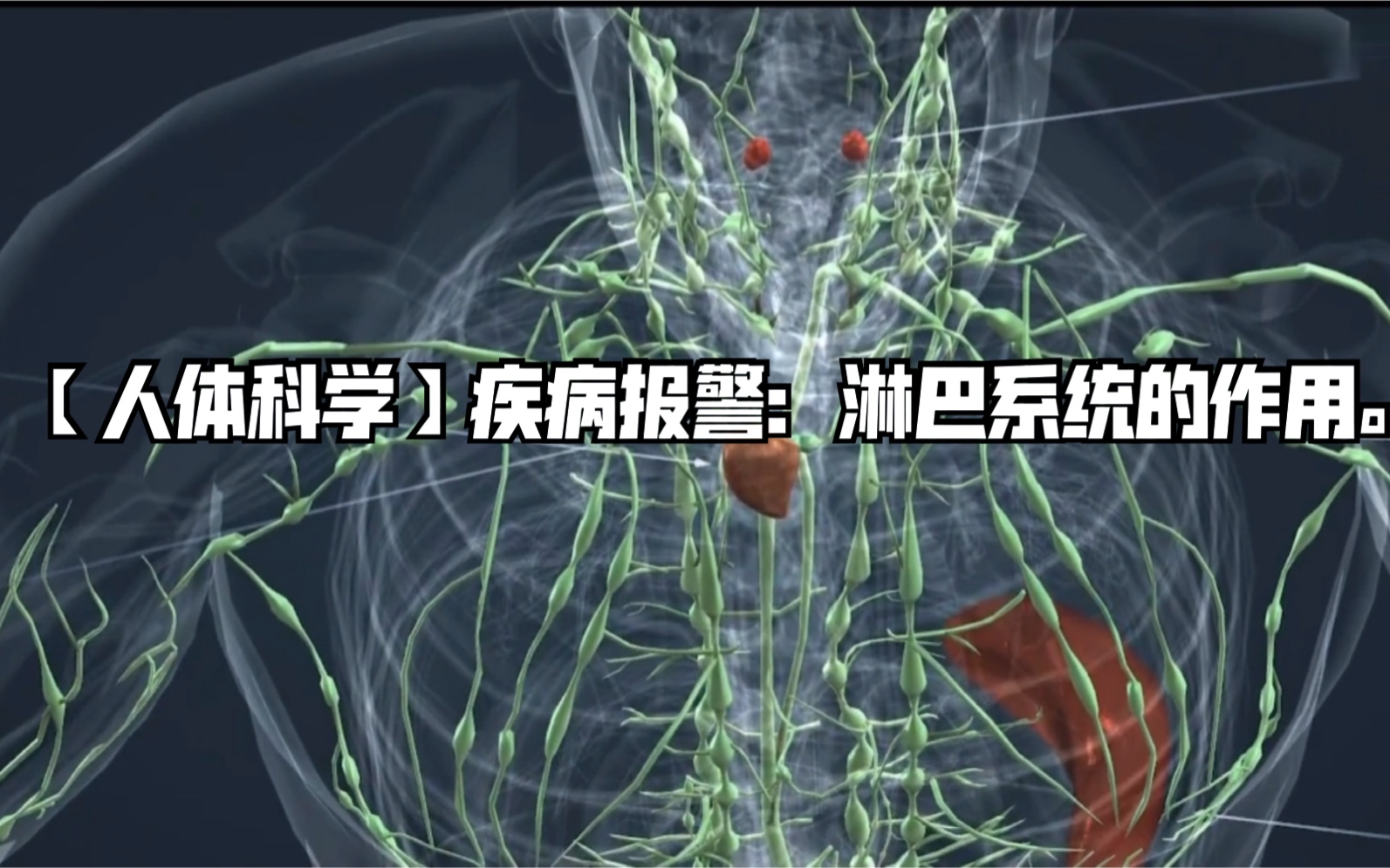 【人体科学】疾病报警:淋巴系统的作用。