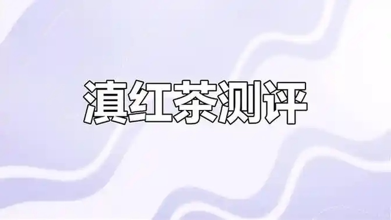 四款滇红茶的口感与耐泡度评测,哪一款最值得入手?