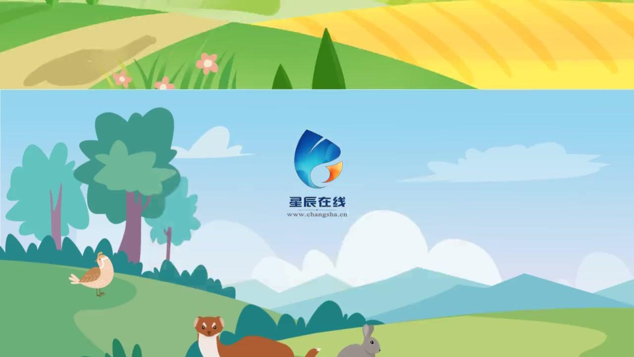 MG动画|文明礼仪小课堂之文明用餐