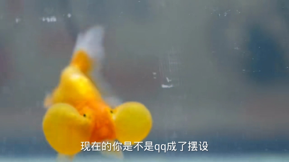 ...是不是qq成了摆设 微信也是用来支付 电话接到的全是快递 短信收到...