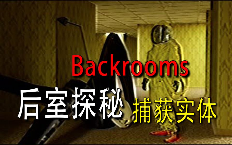 【Backrooms】-后室- 【捕获实体】 可爱捏!