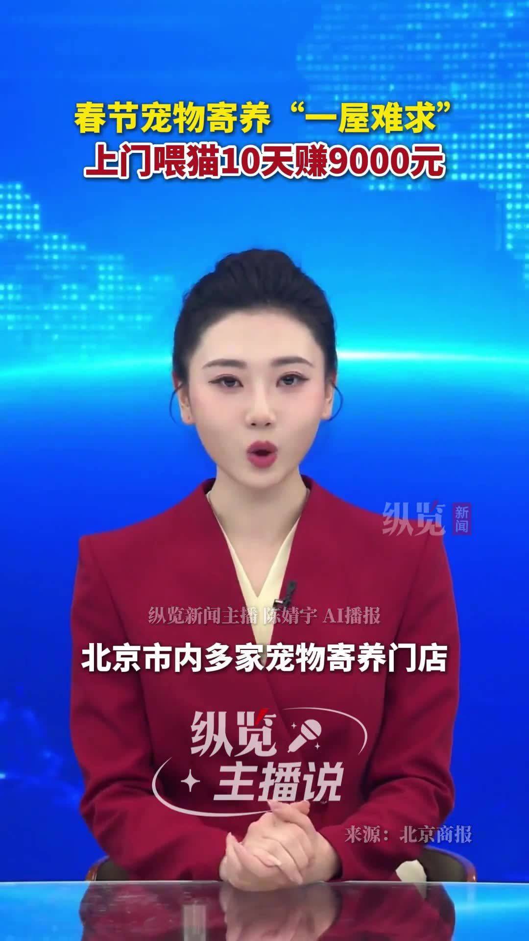 春节上门喂猫10天赚9000元,宠物寄养"一屋难求"