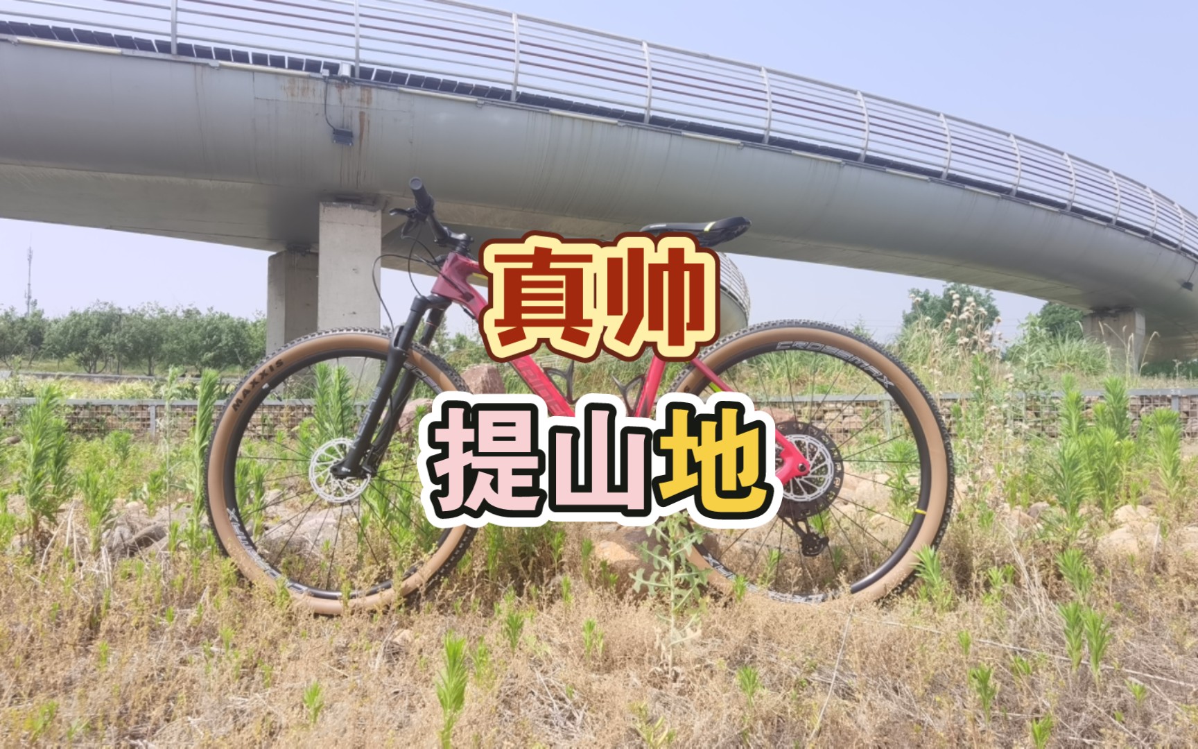 900在迪卡侬可以买到怎样的自行车?