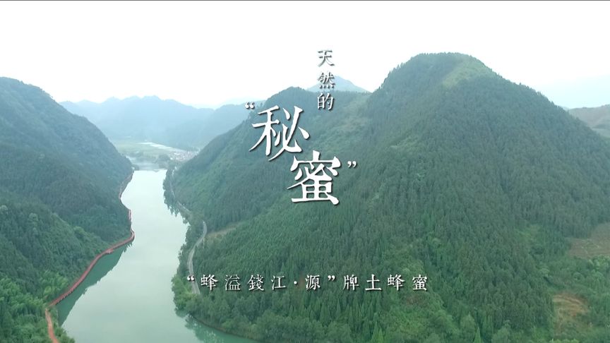 城市宣传片《天然的秘蜜》(开化).mp4