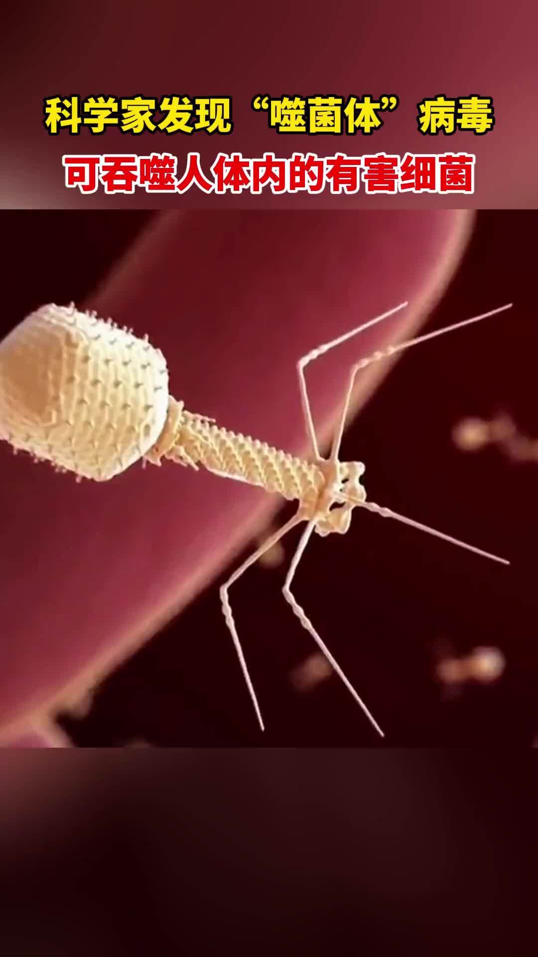 科学家发现噬菌体病毒外形酷似机器人,可以吞噬人体内的有害细菌