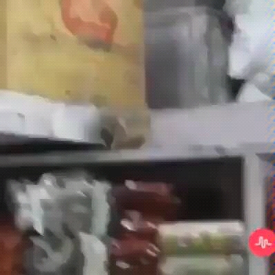 见过人打架,有见过老鼠打架的跟人一样的吗?