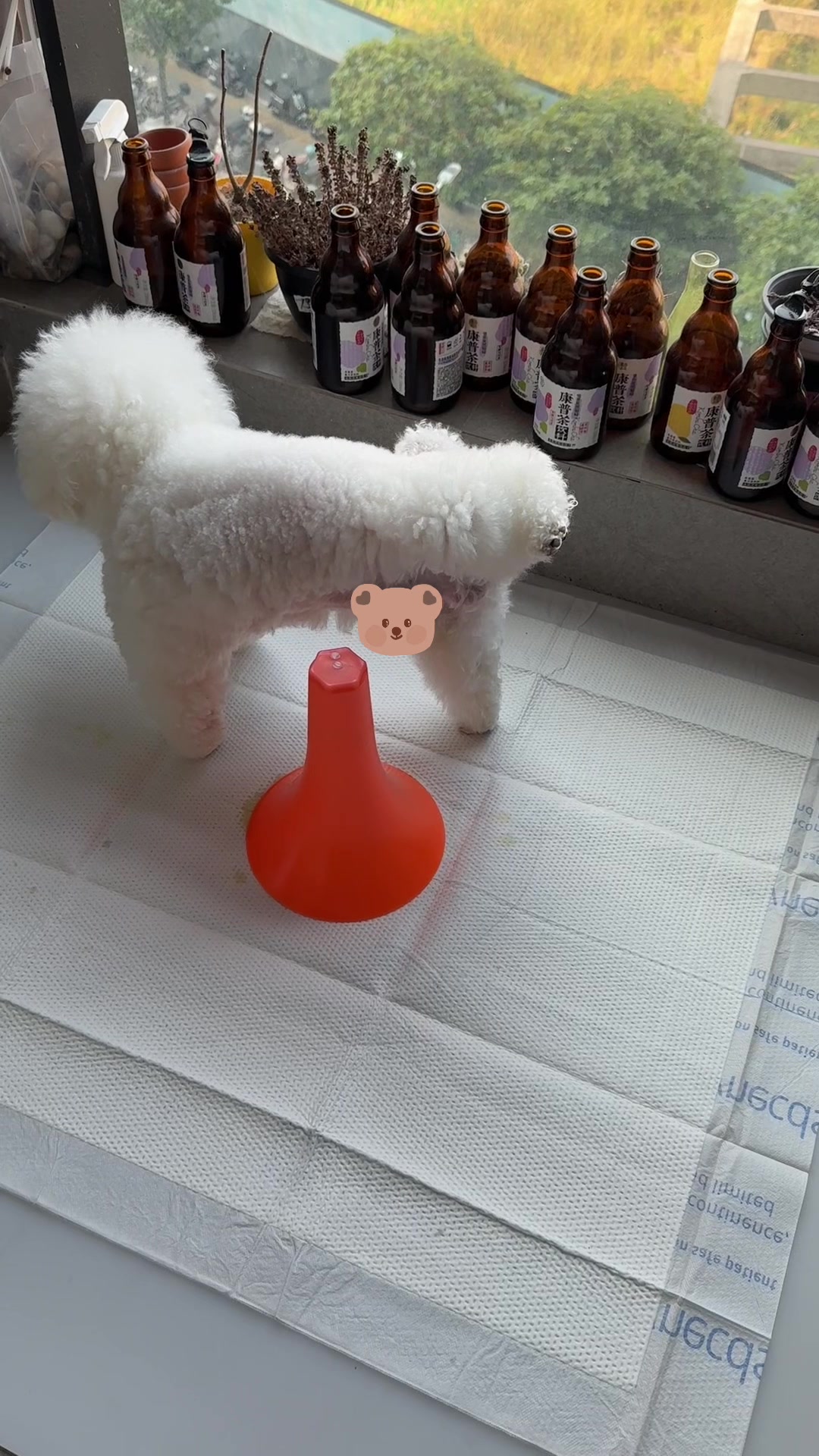 我家狗用引导柱和这个尿垫绝配,谁懂啊! 我家狗子以前经常尿歪在尿垫...