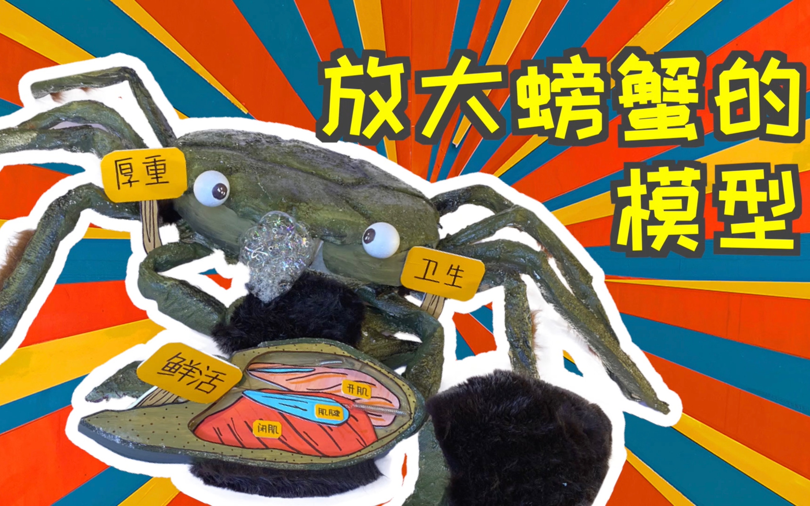 【模型师老原儿】这可能是你见过最大的大闸蟹!