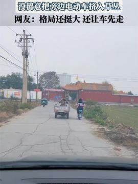 三轮车为给后方小车让路,没留意把旁边电动车挤入草从