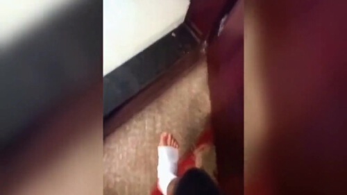动物模仿秀!