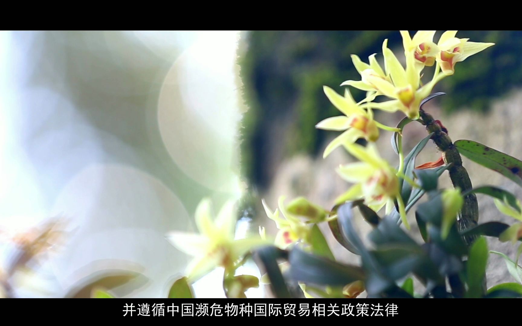 ...抗衰老功能的保健品和高端美容护肤药妆产品,积极扩展垂直市场领域。