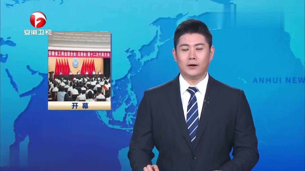 安徽省工商业联合会(总商会)第十二次代表大会开幕