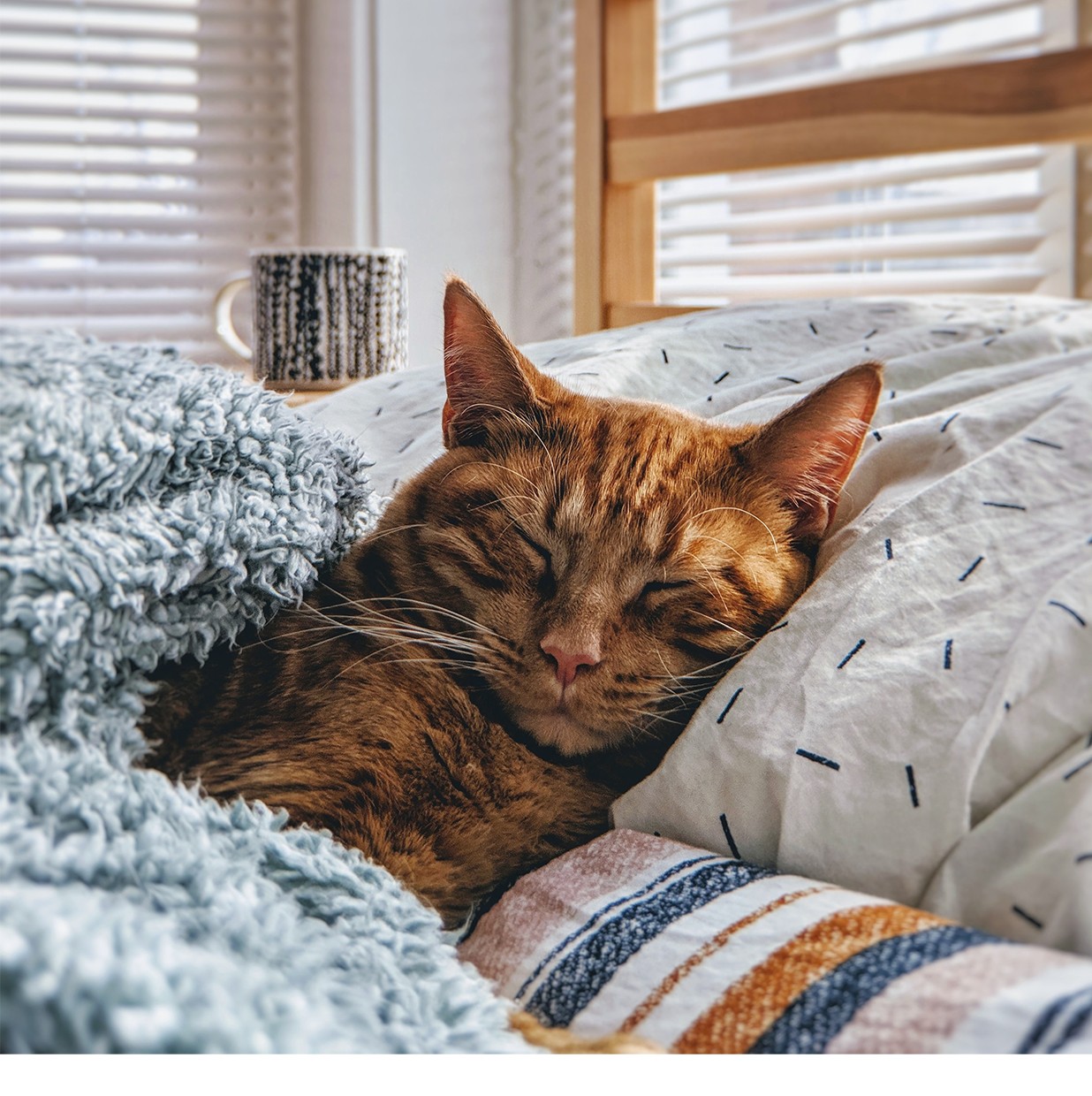 二十度角sunshine 