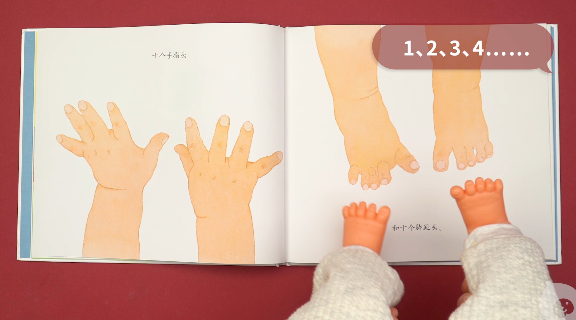 让宝宝认知身体部位,从这本绘本开始