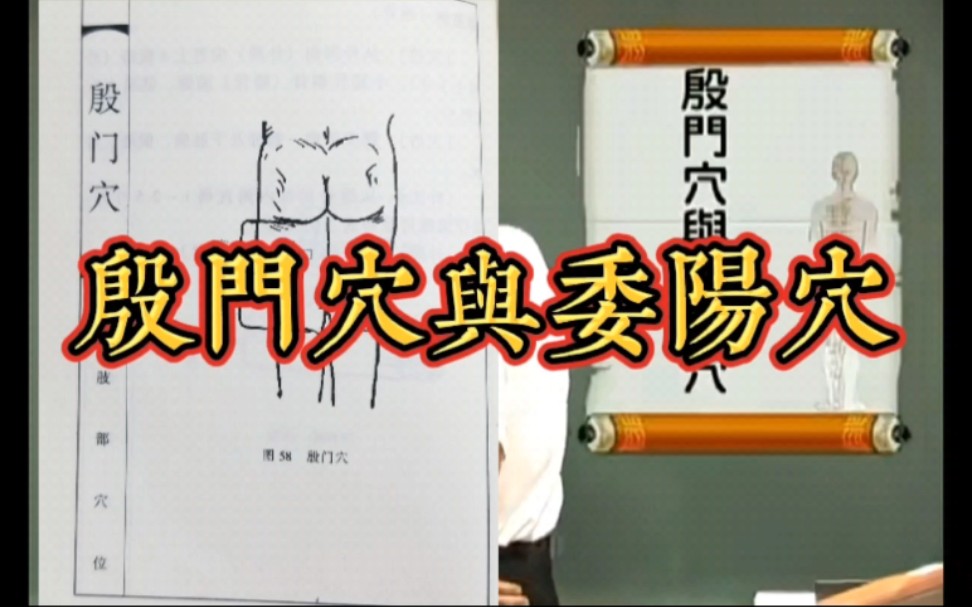 倪海厦《人纪》针灸之足太阳膀胱经殷门委阳穴介绍