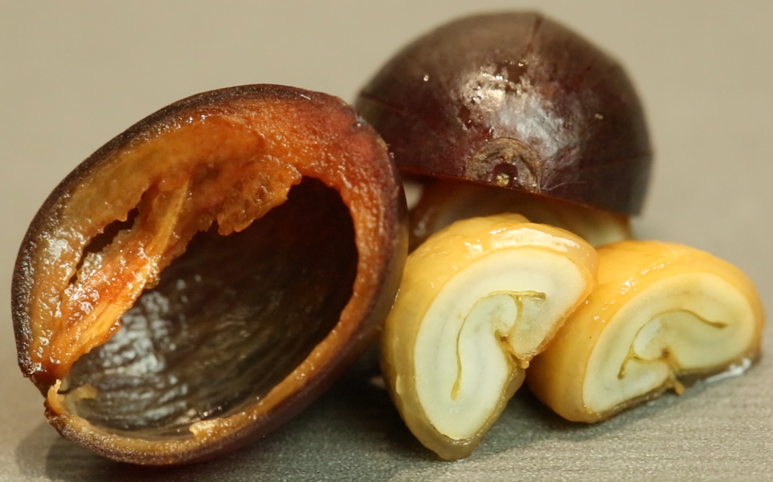 体验咖啡——从鲜果到成品的完整制作过程