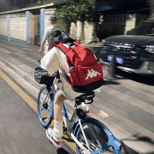 秋枫猪 
