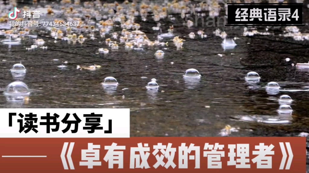 《卓有成效的管理者》经典语录4