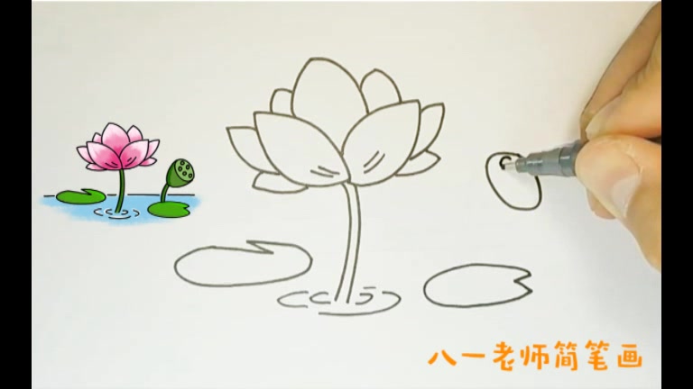简笔画 荷花