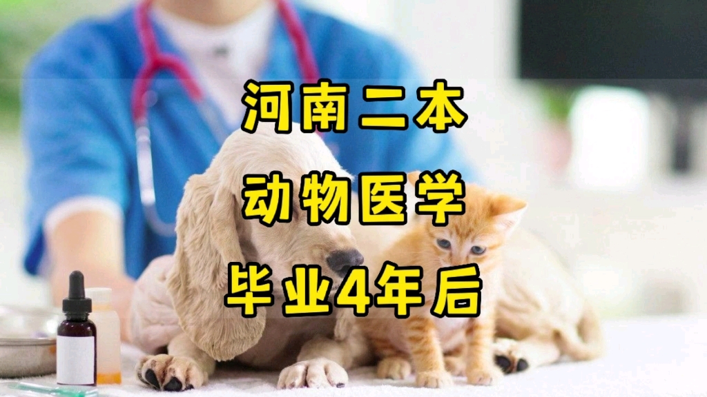 当畜牧学改名后:河南二本,动物医学,毕业4年后