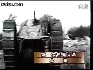 第一次世界大战实录