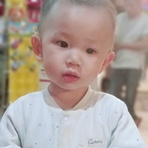 兰1 