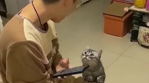 搞笑:多学一门语言有多重要,都能简单的对话了