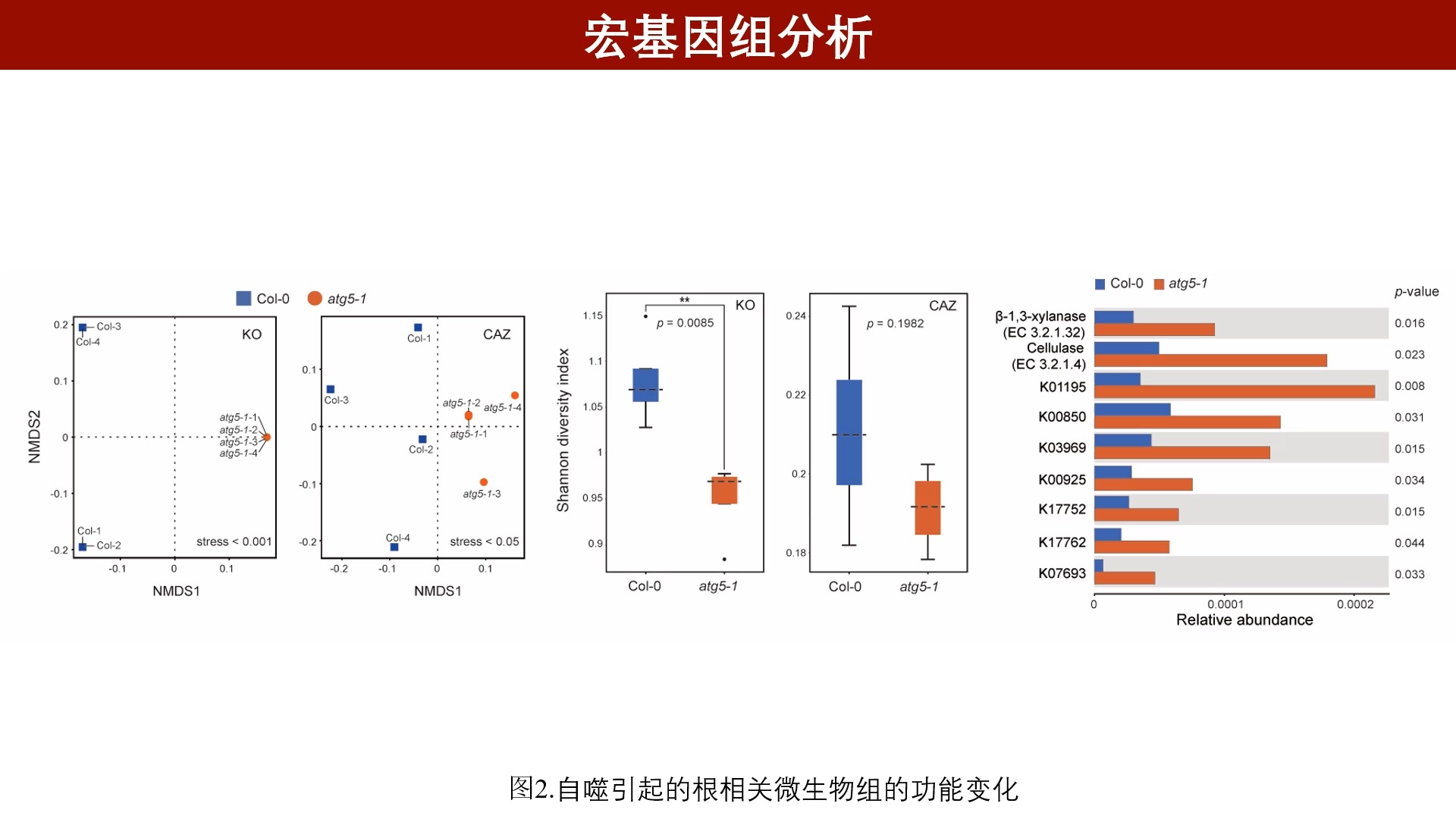 iMetaOmics | 江西省、中国科学院庐山植物园刘芬组揭示了自噬在植物...