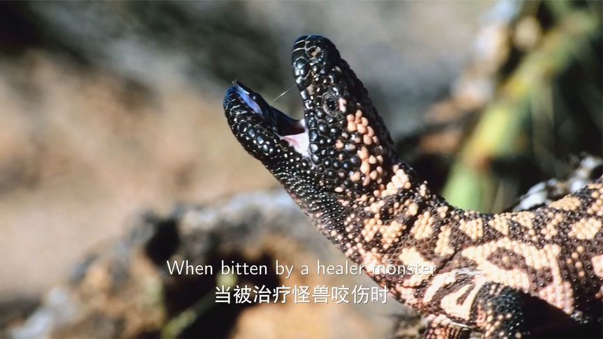 自带毒液,什么肉都喜欢吃,世界上最危险的爬行两栖动物