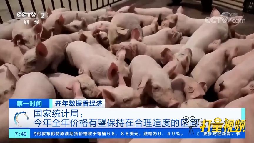 国家统计局:今年全年价格有望保持在合理适度的区间|第一时间