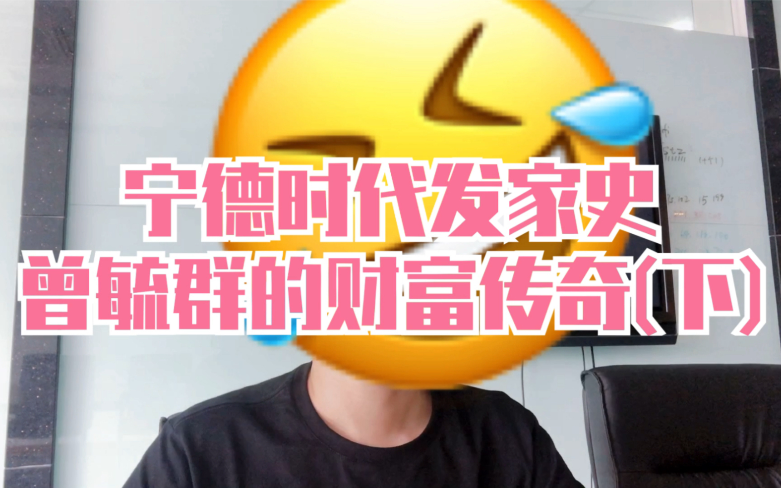 宁德时代发家史,曾毓群的财富传奇