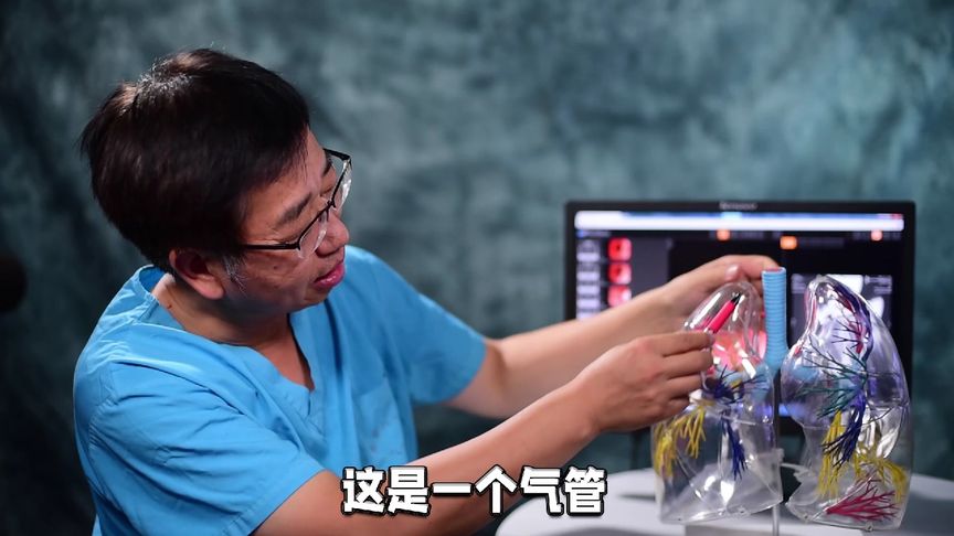 咱们的气管有多细?