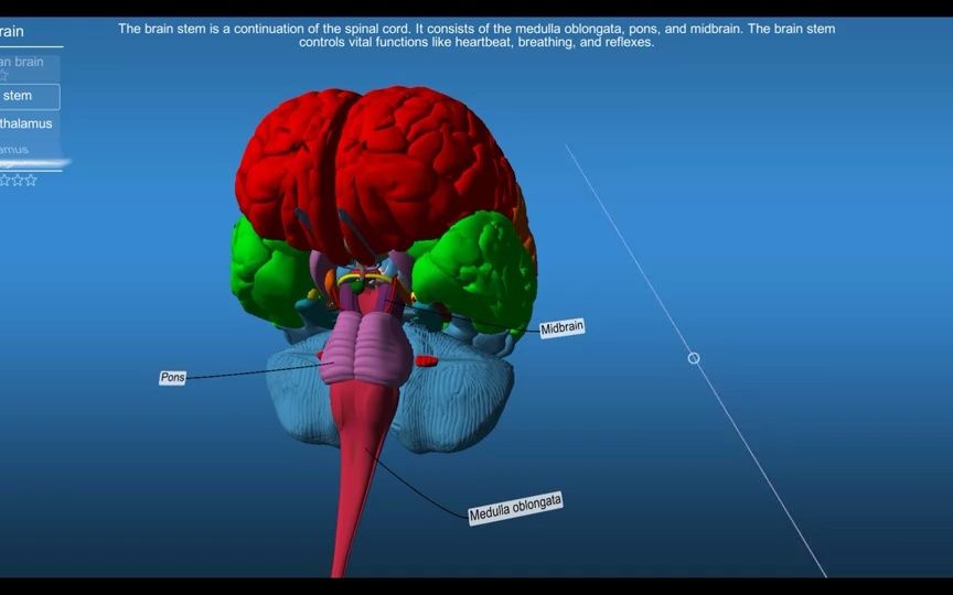 zSpace极倍 VIVED Science 使用教程 3 -查看