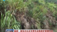 福建:率先出台水生野生动物救护管理办法 东南晚报 170103