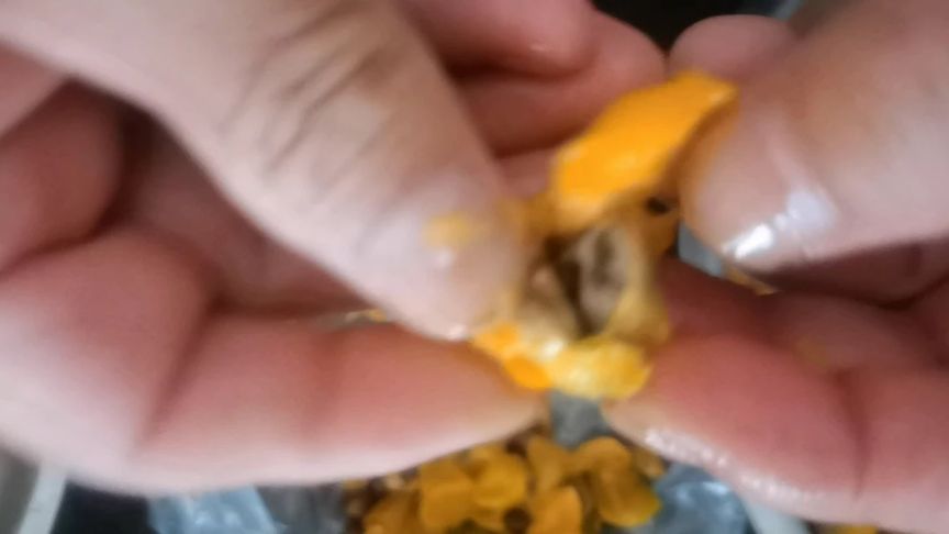 家庭制作枇杷膏,天然无添加,咳嗽服用效果很好