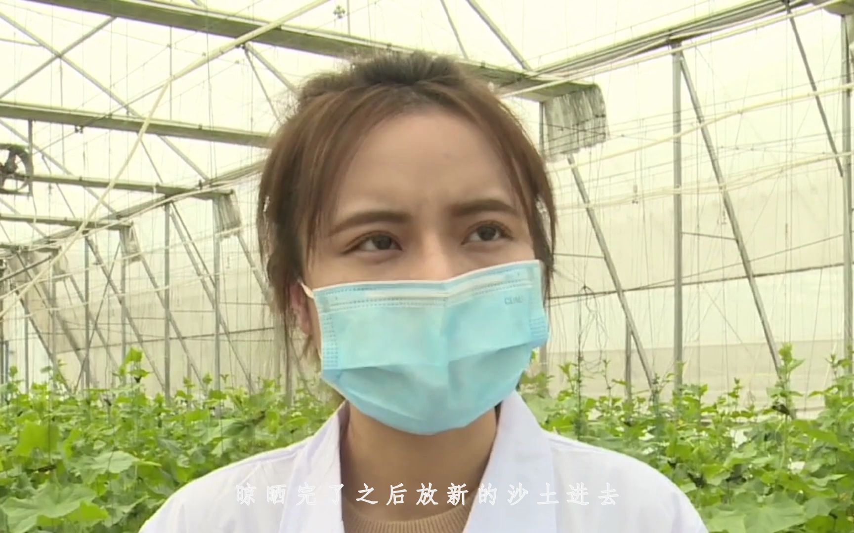 智能温室运用高科技种植技术来种植有机蔬菜,一起来看看吧.mp4