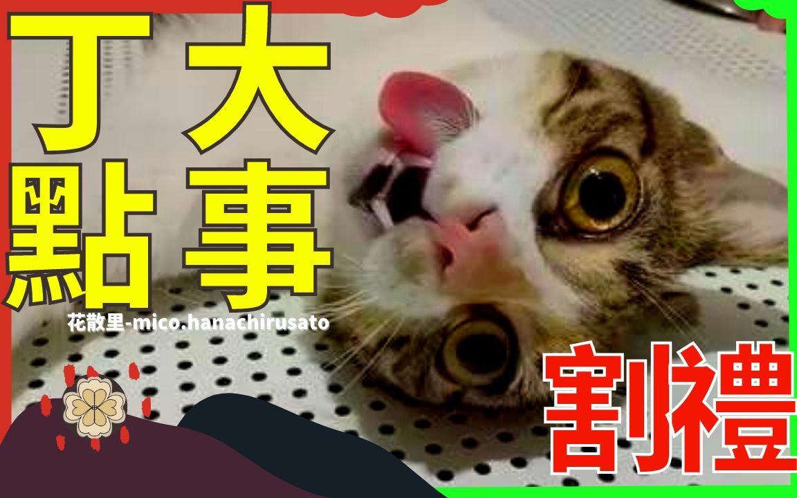 只属于男人的不可言说之痛!深入解析割礼的历史和意义,宗教还是文化?...