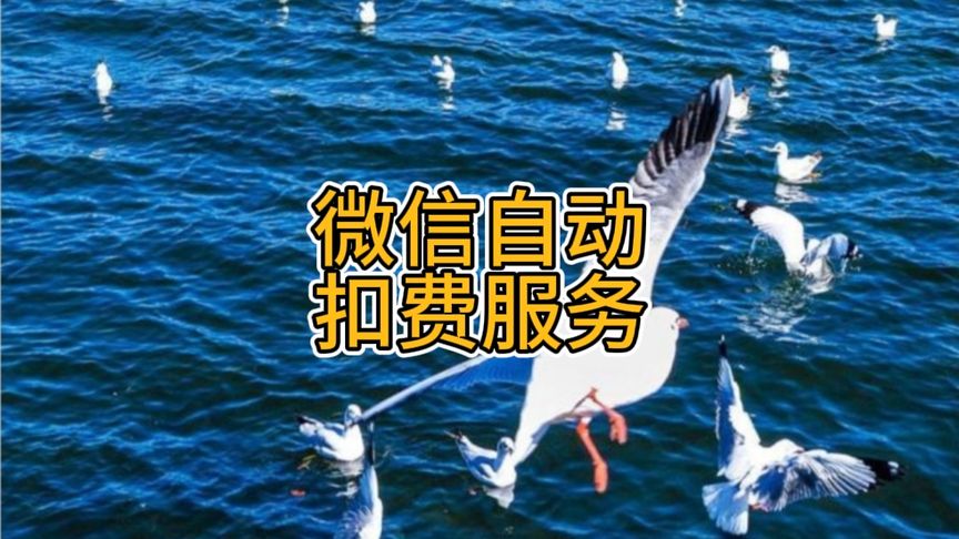 解绑微信自动扣费服务