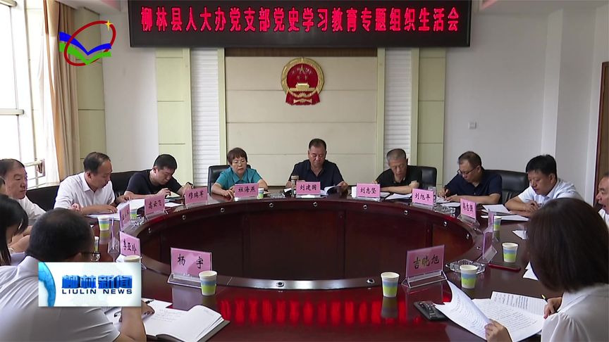 县人大办党支部召开党史学习教育专题组织生活会