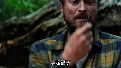 原始森林不适合人类踏足