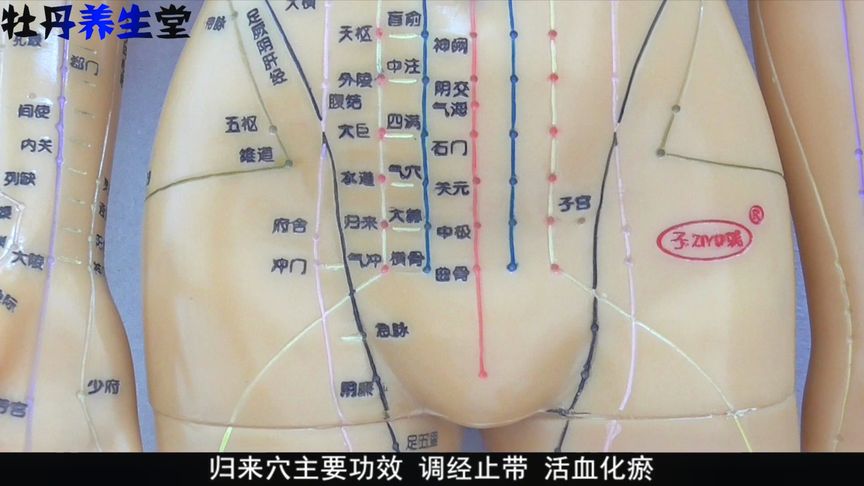 归来穴功效:调经止带,活血化瘀。主治疾病:月经不调,腹痛等
