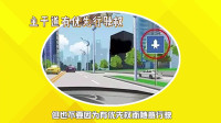 拿完驾照是不是就不认识这些交通标志和标线了?你的12分都在么?