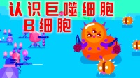 病毒细胞大揭秘-少儿科普 第1集 认识B细胞和巨噬细胞